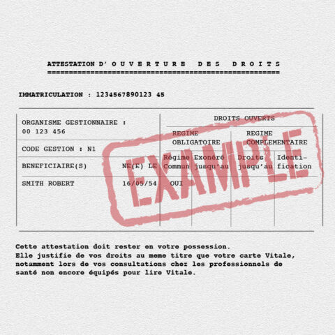 French Social Security Numbers - Renestance